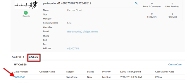 How To Log A Case Salesforce Einstein Hub Salesforce Guide